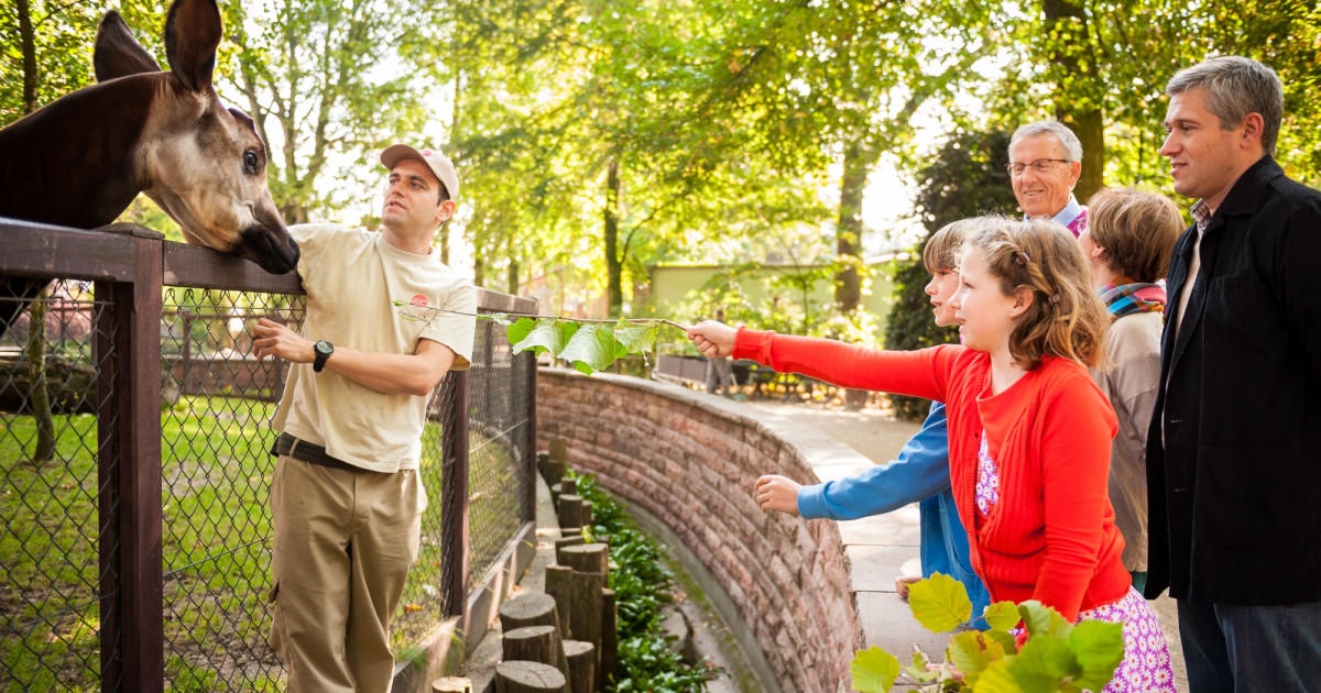 Groepen in ZOO Antwerpen - ZOO Antwerpen
